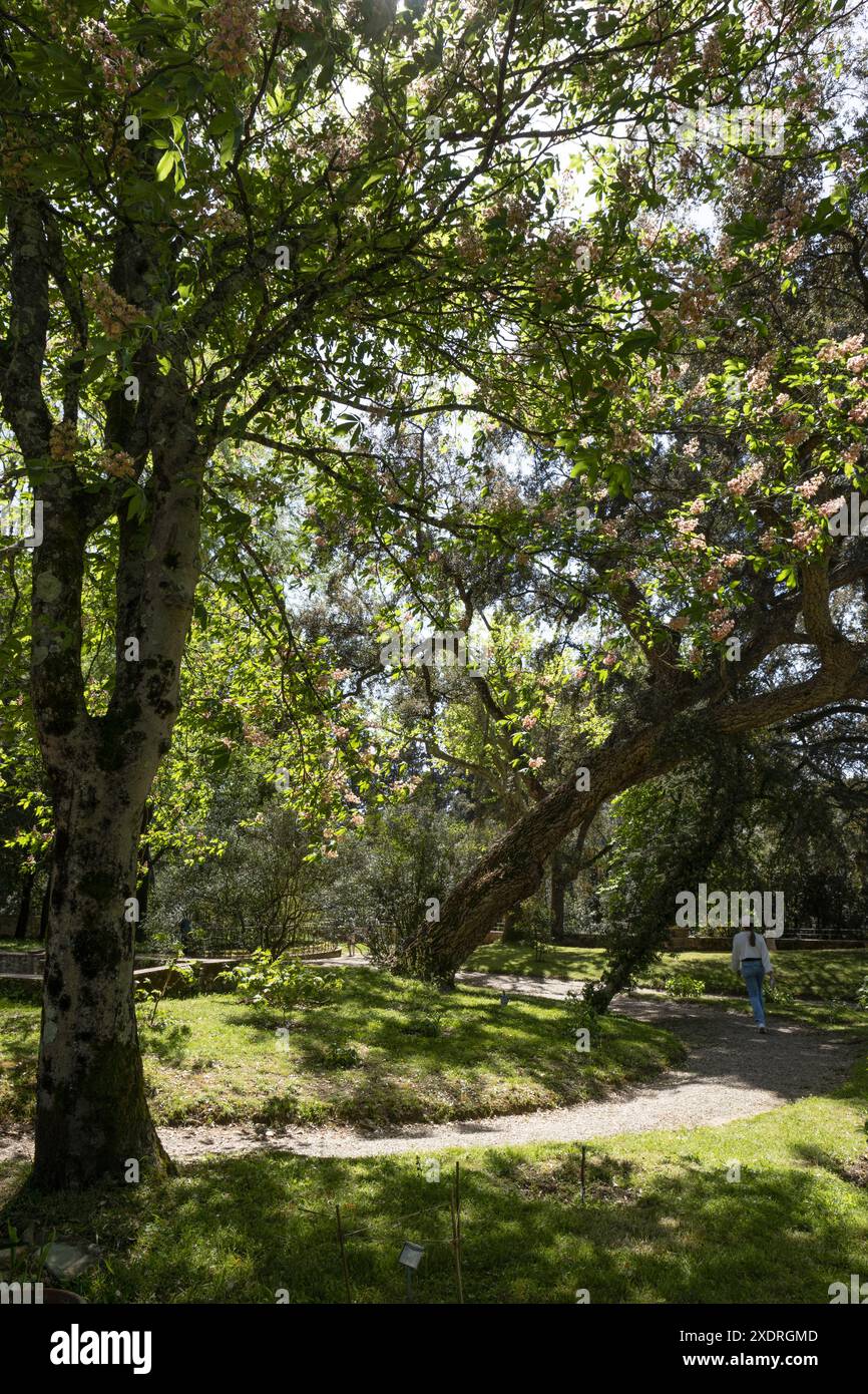 Important renaissance gardens hi-res stock photography and images - Alamy