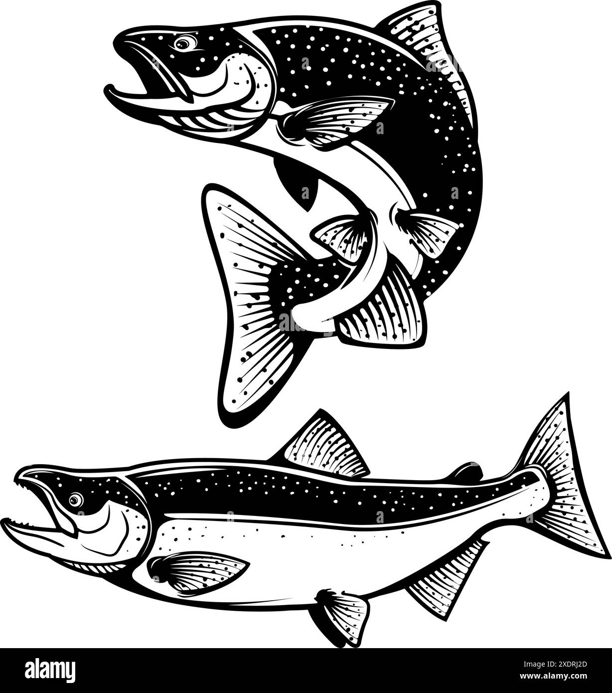 Salmon silhouettes. Fresh seafood. Salmon fishing. Design element for ...