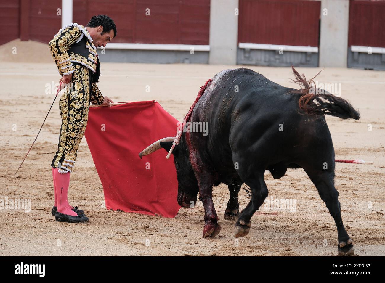 the bullfighter Morenito de Aranda during the bullfight of Corrida de ...