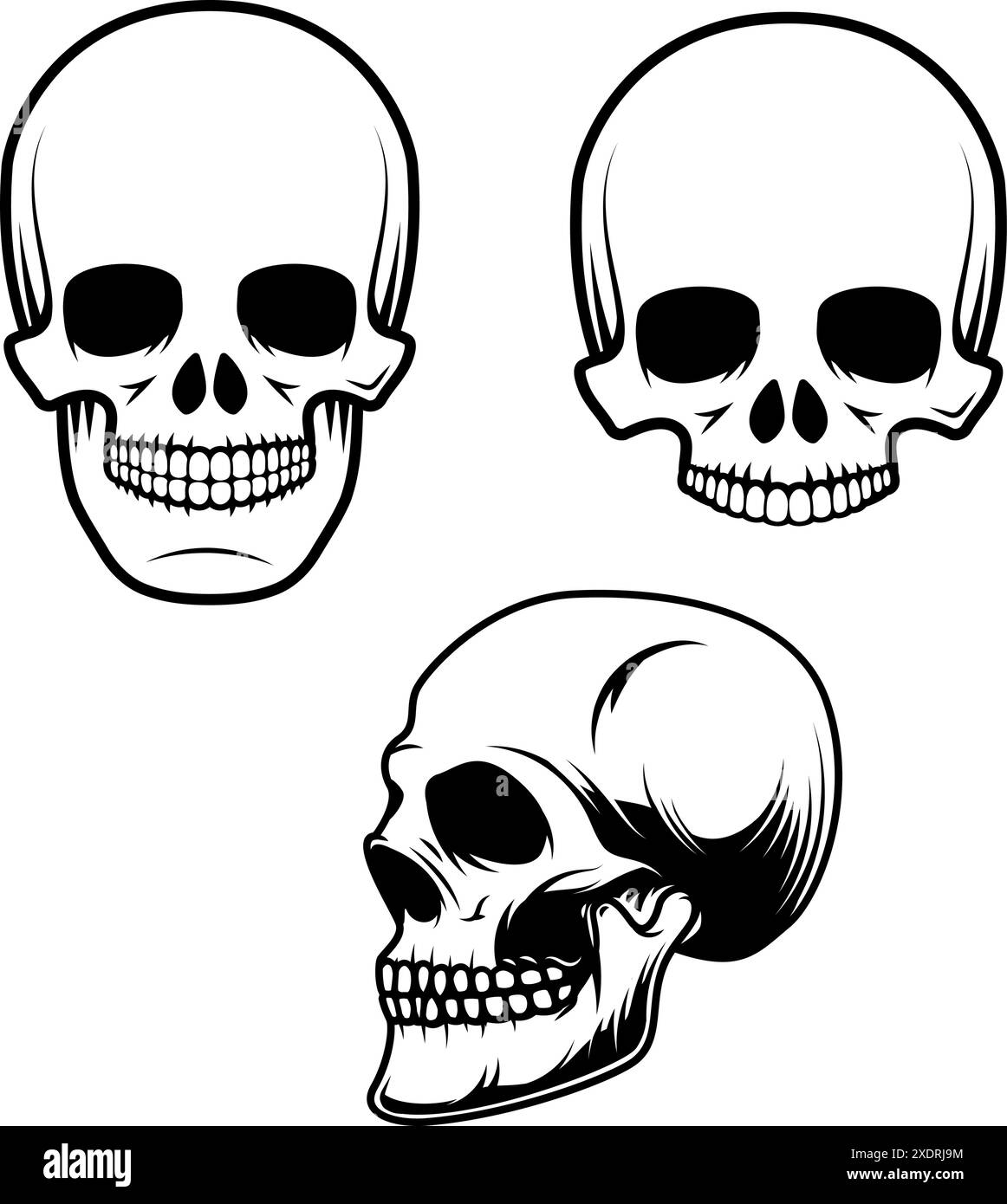 Human skulls in black Cut Out Stock Images & Pictures - Alamy