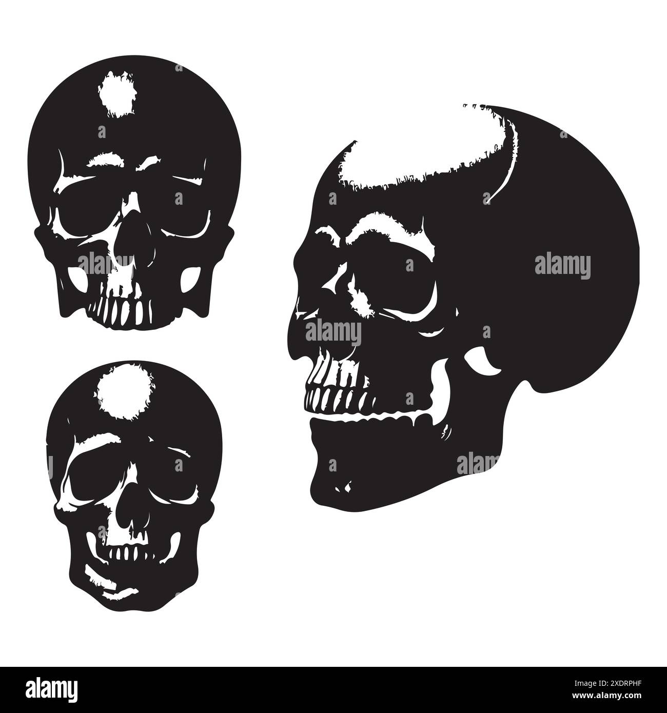 Silhouette set of skull head. Vector isolated illustration Stock Vector ...