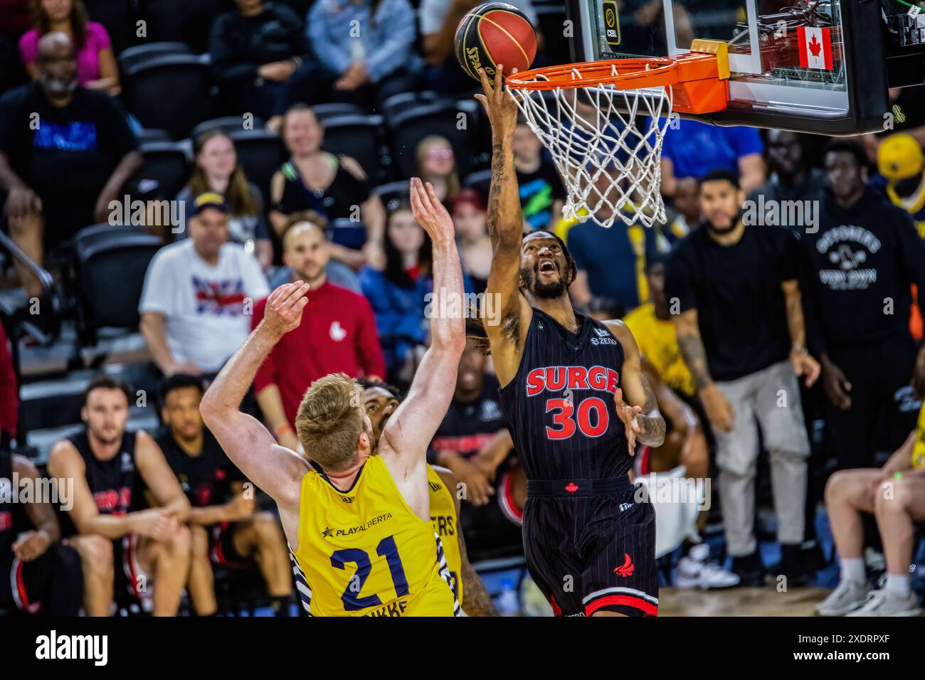 Trhae mitchell hi-res stock photography and images - Alamy