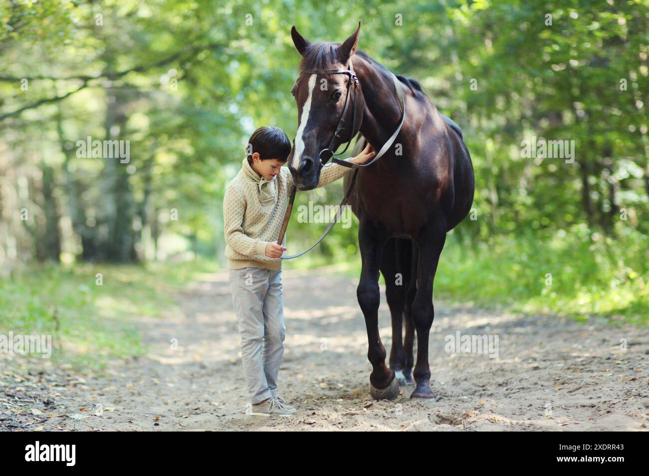 Teen boy riding horse hi-res stock photography and images - Alamy