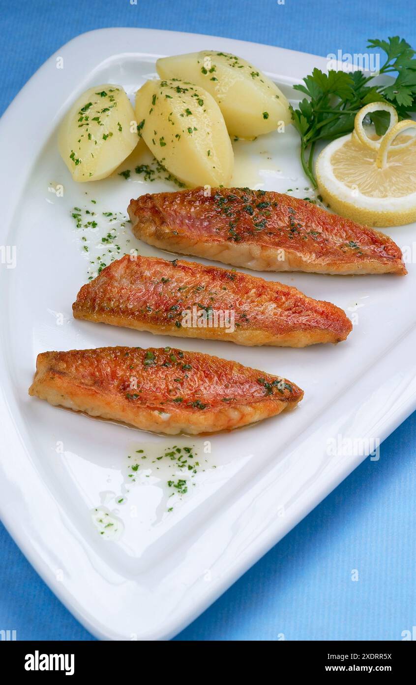 Molinera hi-res stock photography and images - Alamy
