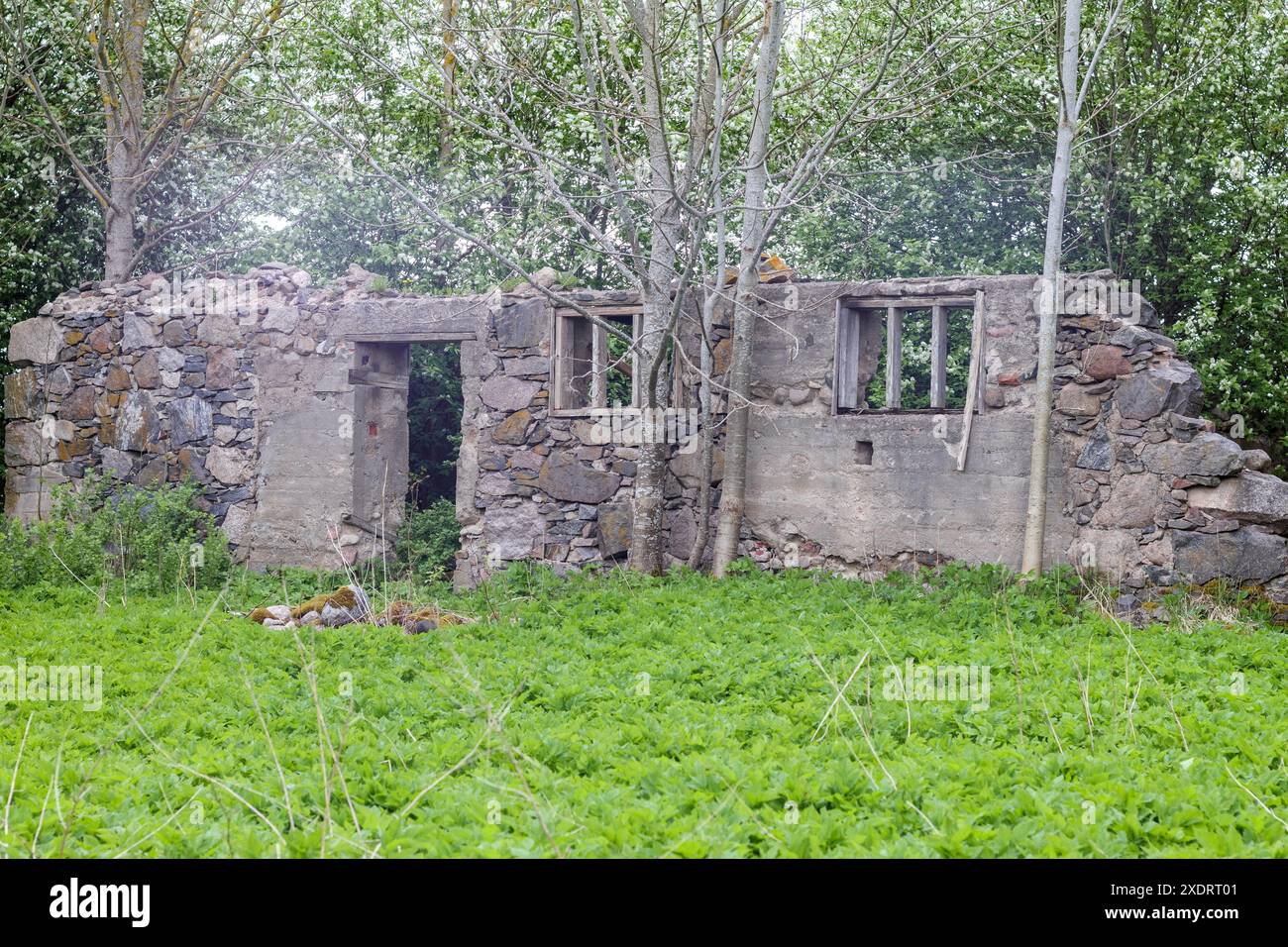 Stone house among trees hi-res stock photography and images - Alamy
