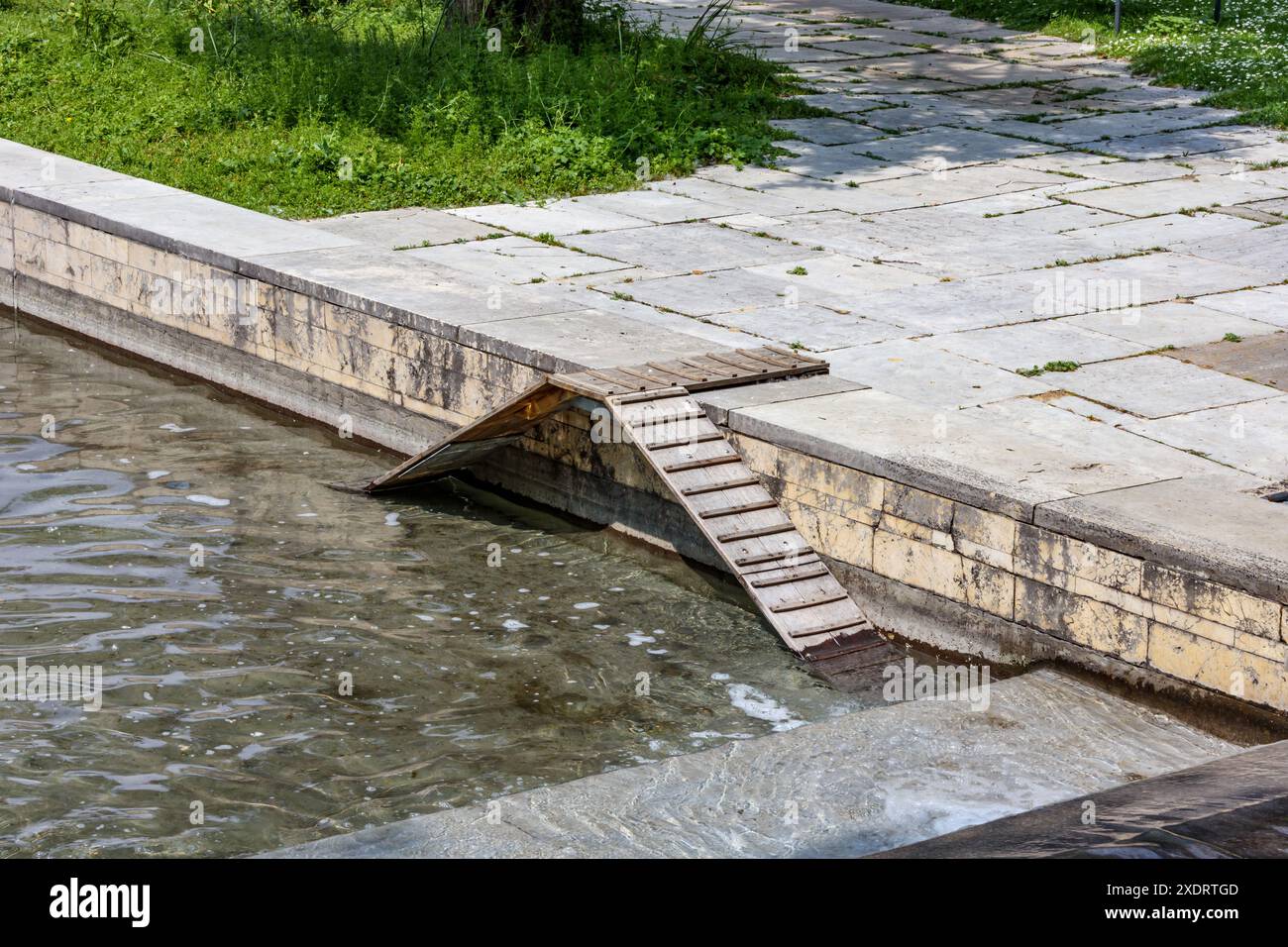 Wooden waterfowl ladder at fountain water tank, Rheinpark public park ...