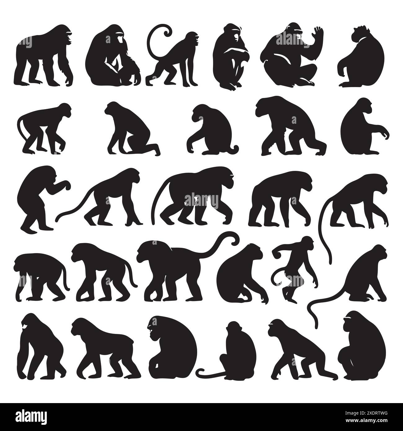 Silhouette set of ape animals. Vector isolated illustration Stock ...