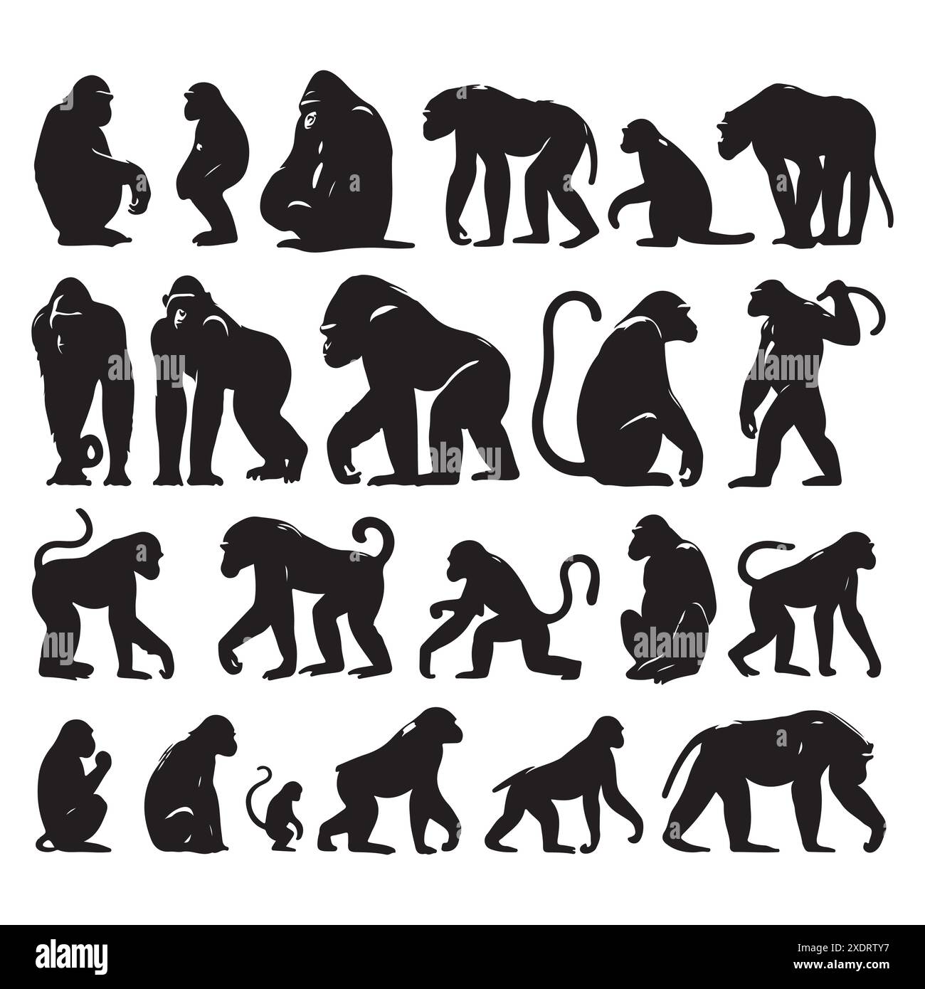Silhouette set of ape animals. Vector isolated illustration Stock ...