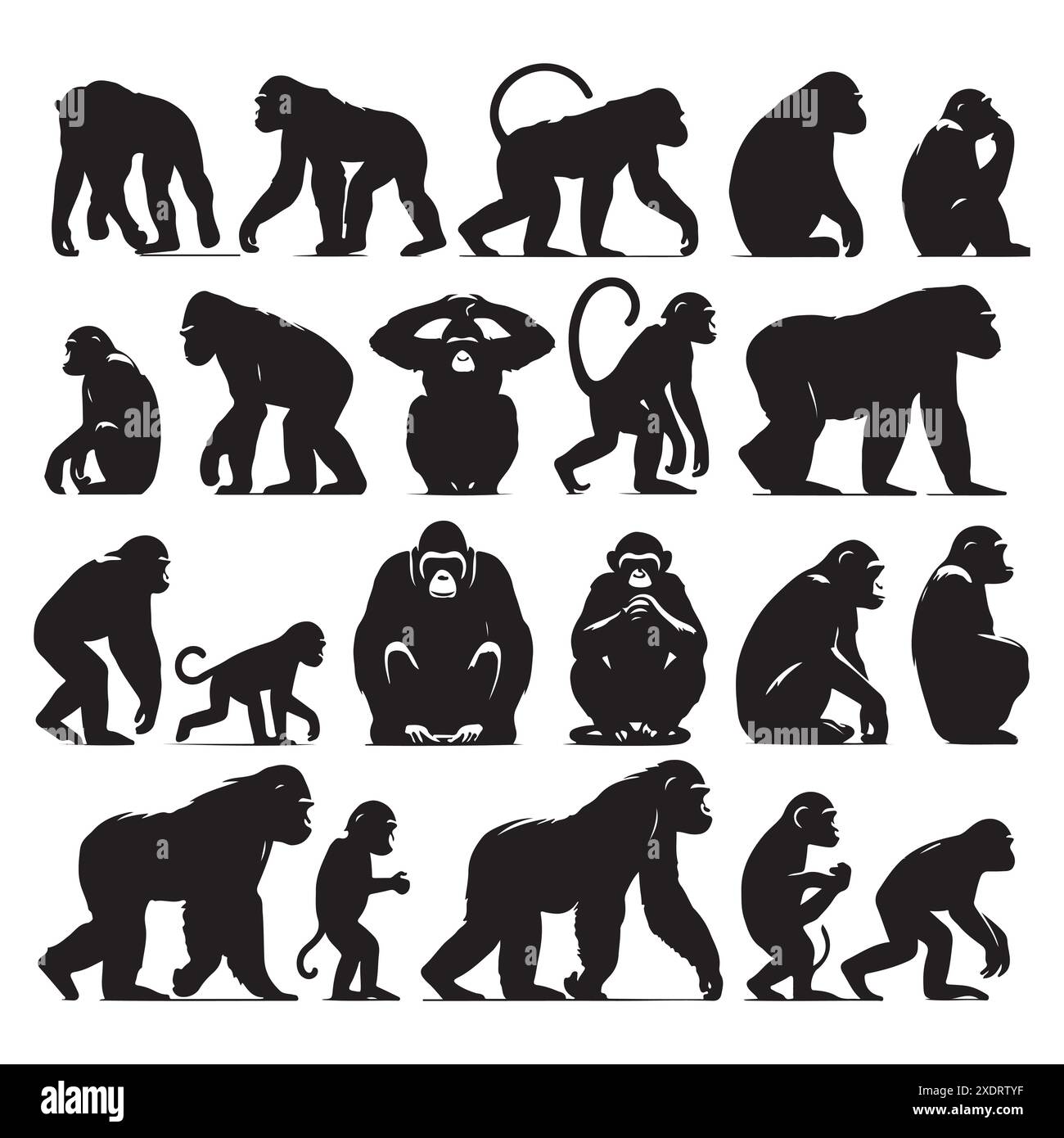 Silhouette set of ape animals. Vector isolated illustration Stock ...