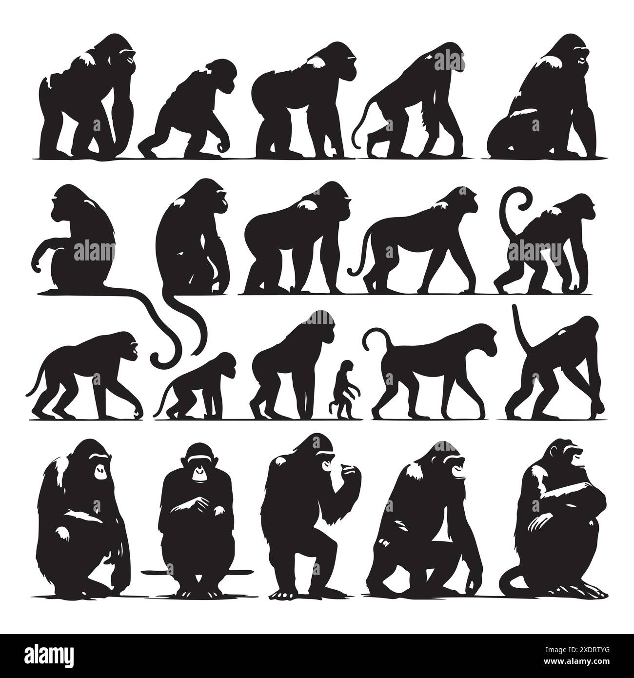 Silhouette set of ape animals. Vector isolated illustration Stock ...