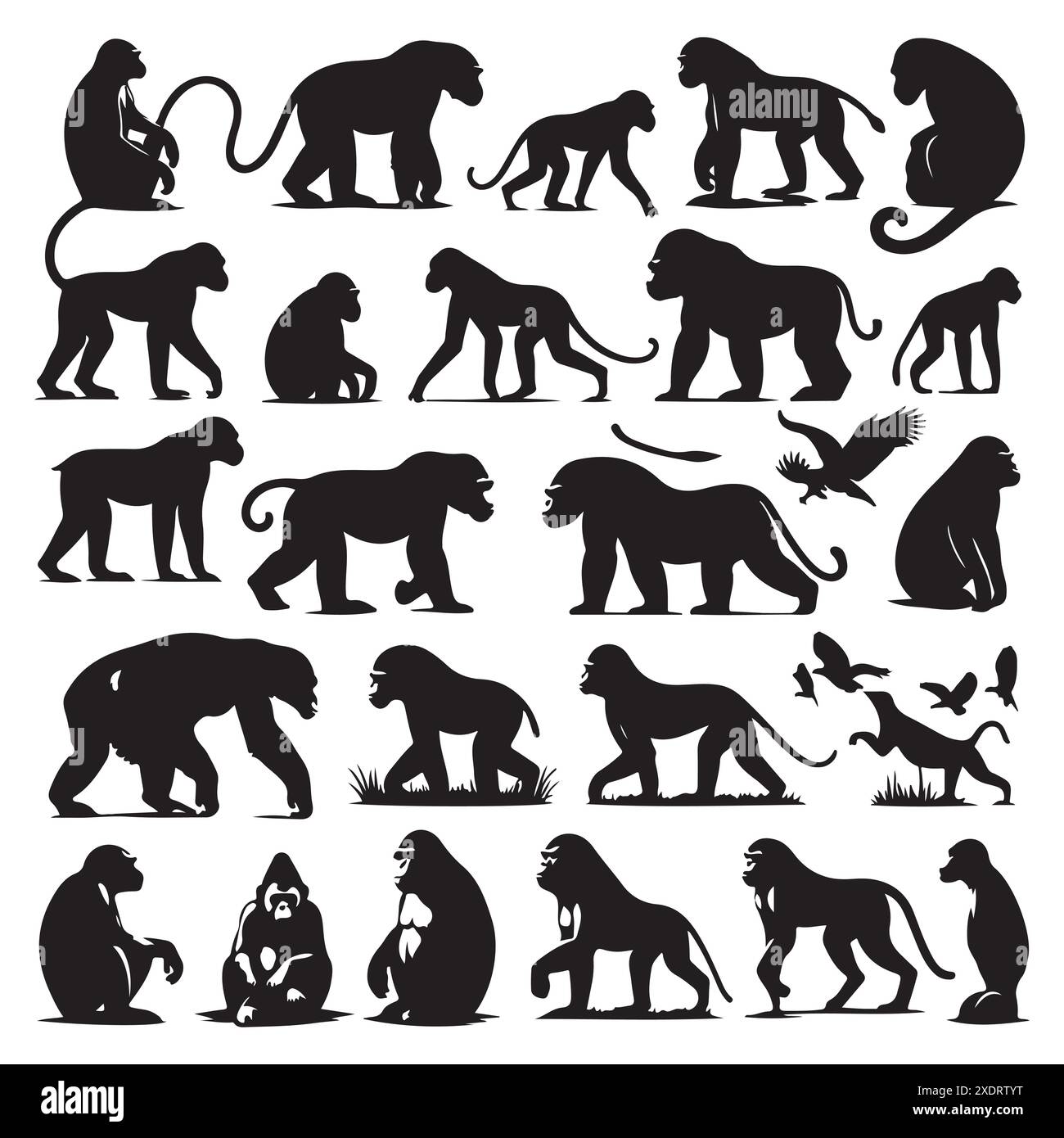Silhouette set of ape animals. Vector isolated illustration Stock ...