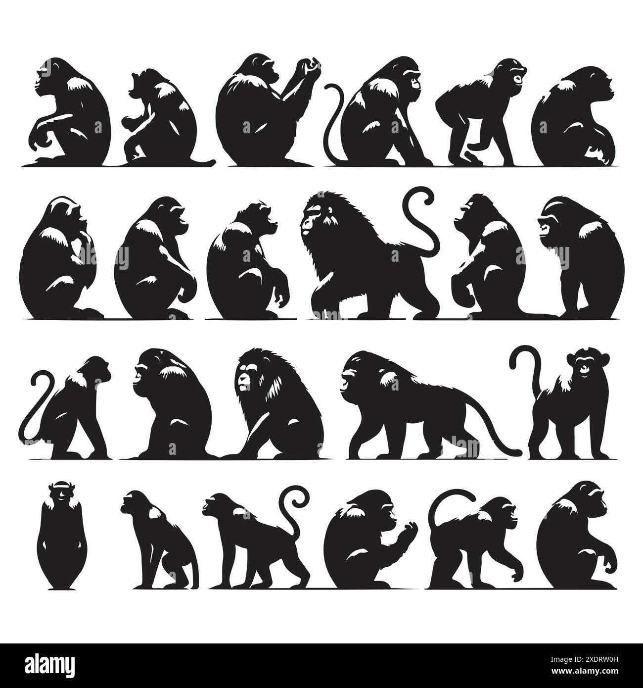 Silhouette set of ape animals. Vector isolated illustration Stock ...