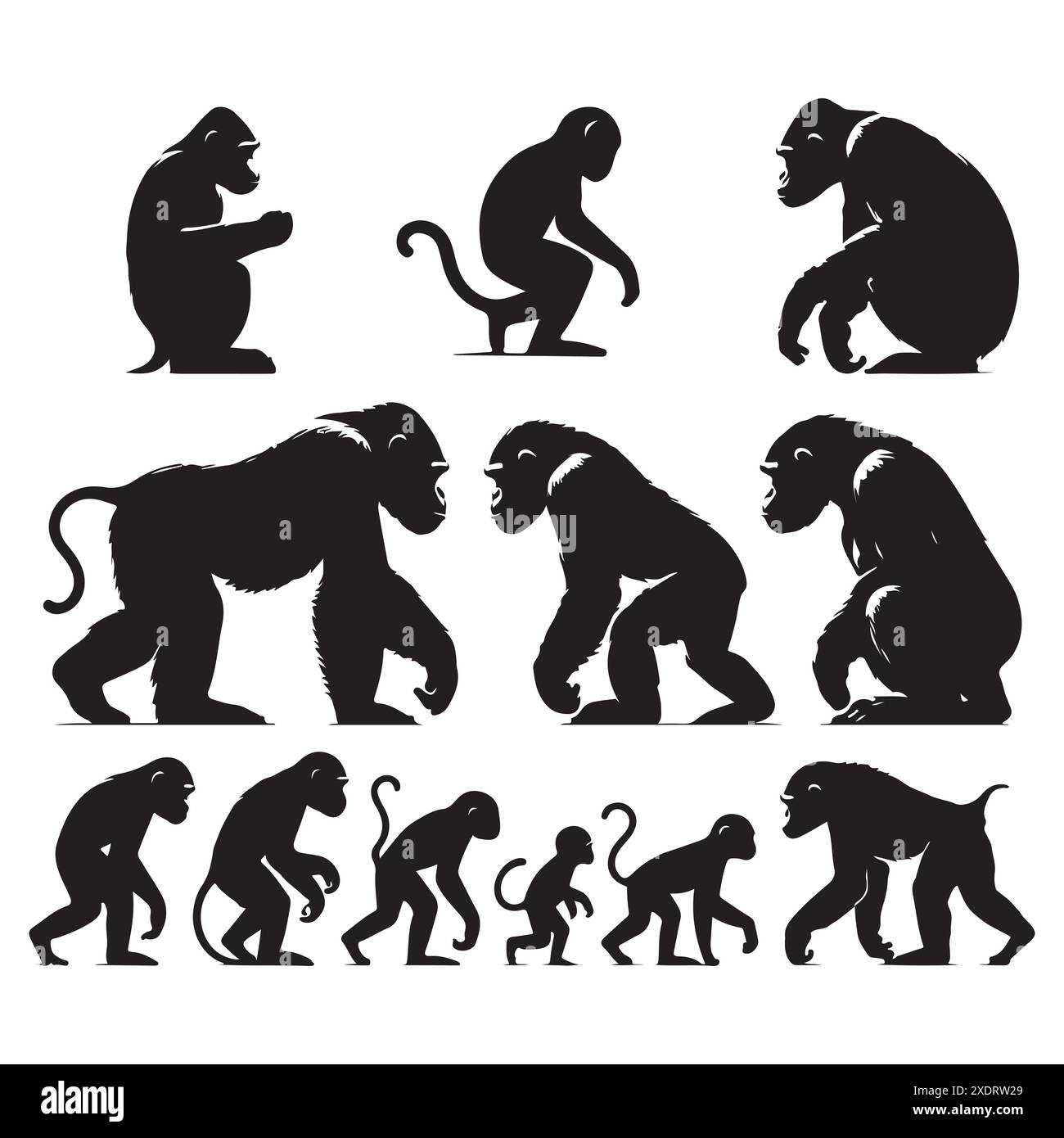 Silhouette set of ape animals. Vector isolated illustration Stock ...