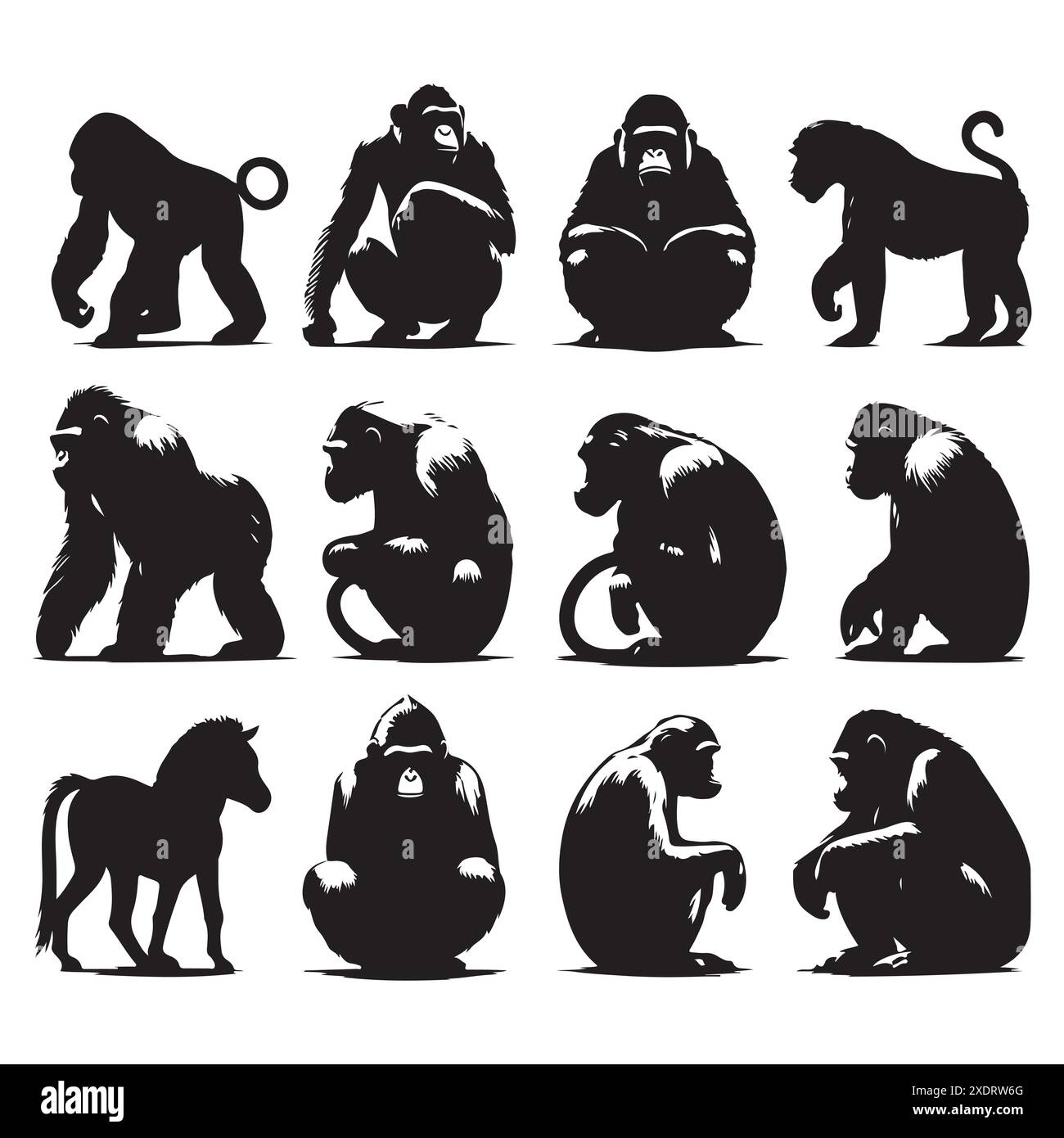 Silhouette set of ape animals. Vector isolated illustration Stock ...