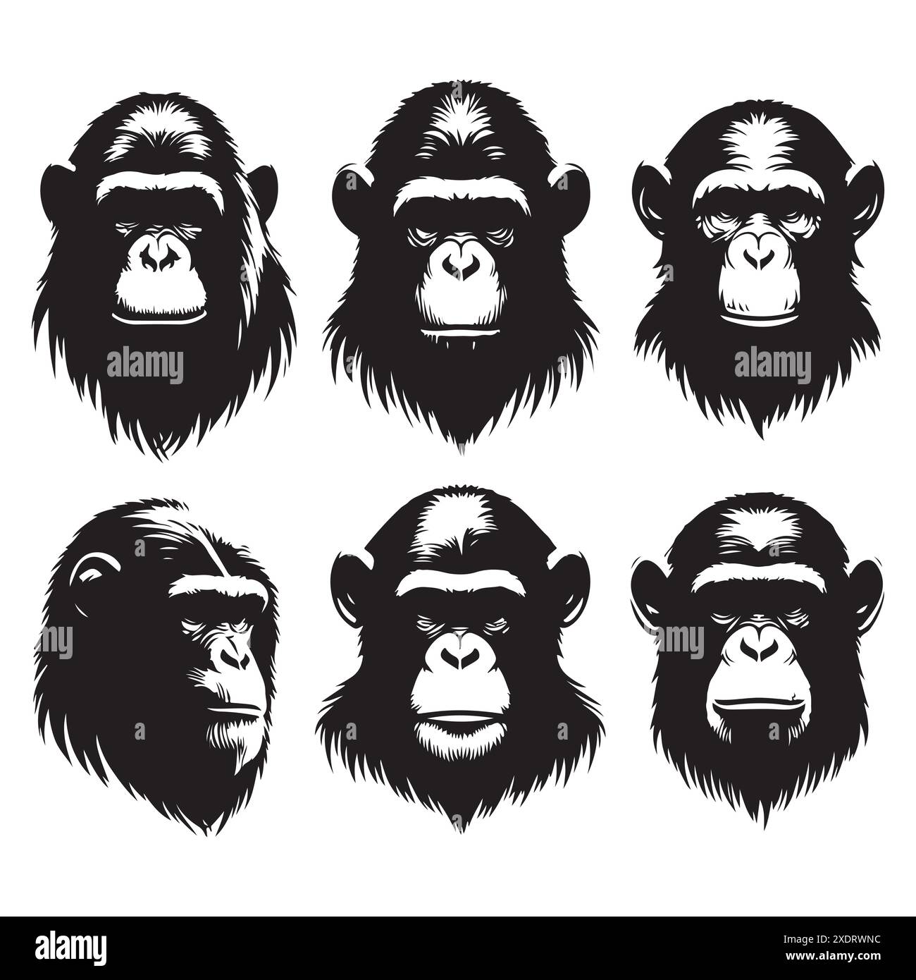 Silhouette set of ape animal head. Vector isolated illustration Stock ...