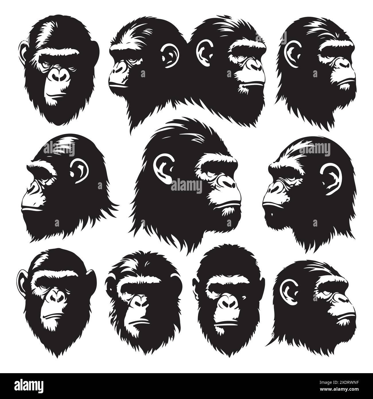 Silhouette set of ape animal head. Vector isolated illustration Stock ...