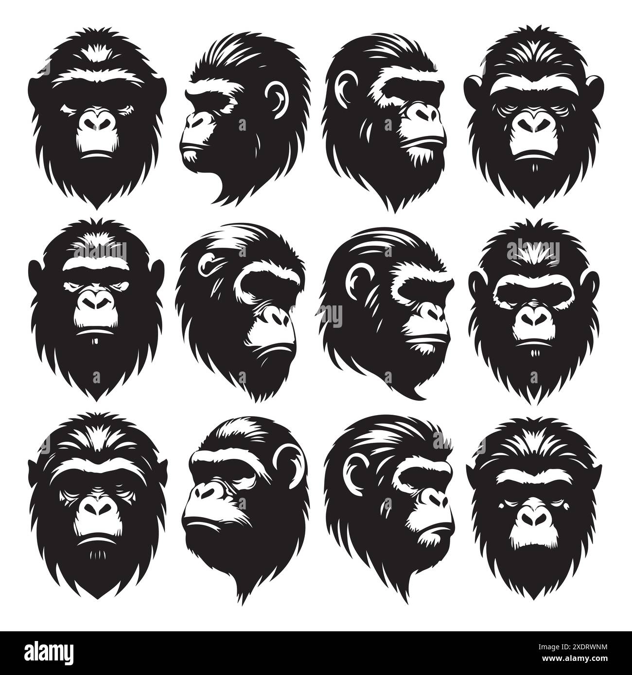 Silhouette set of ape animal head. Vector isolated illustration Stock ...