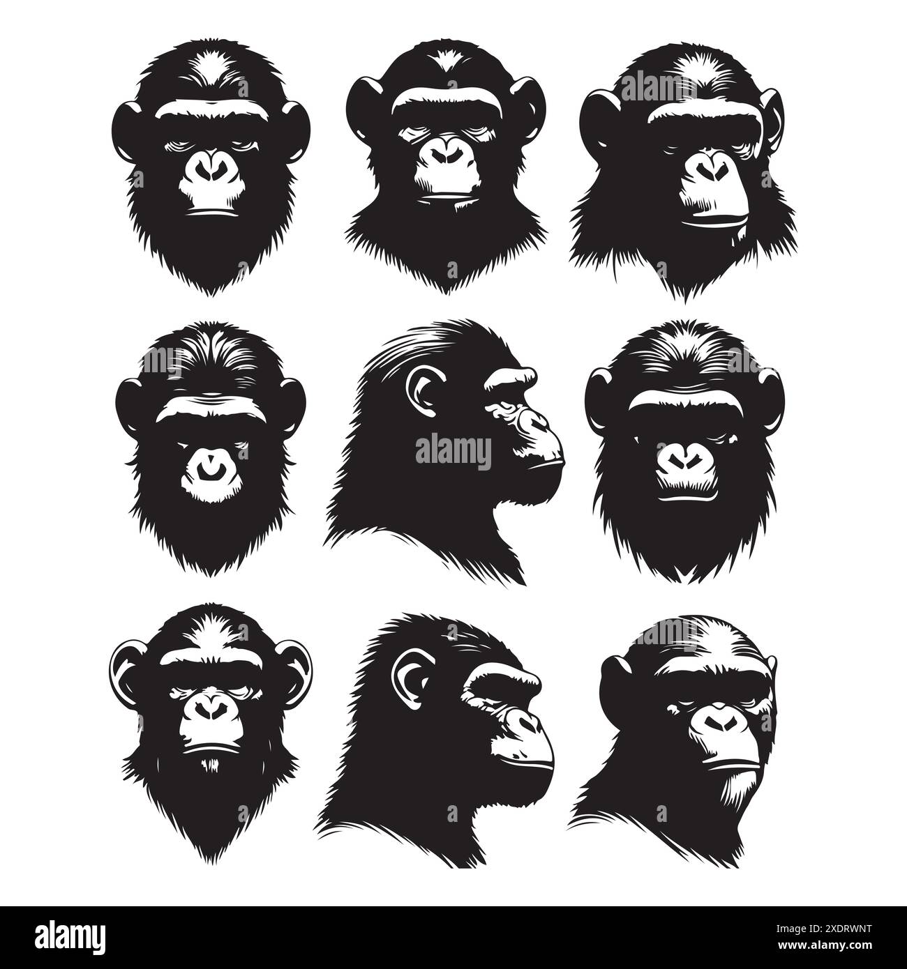 Silhouette set of ape animal head. Vector isolated illustration Stock ...