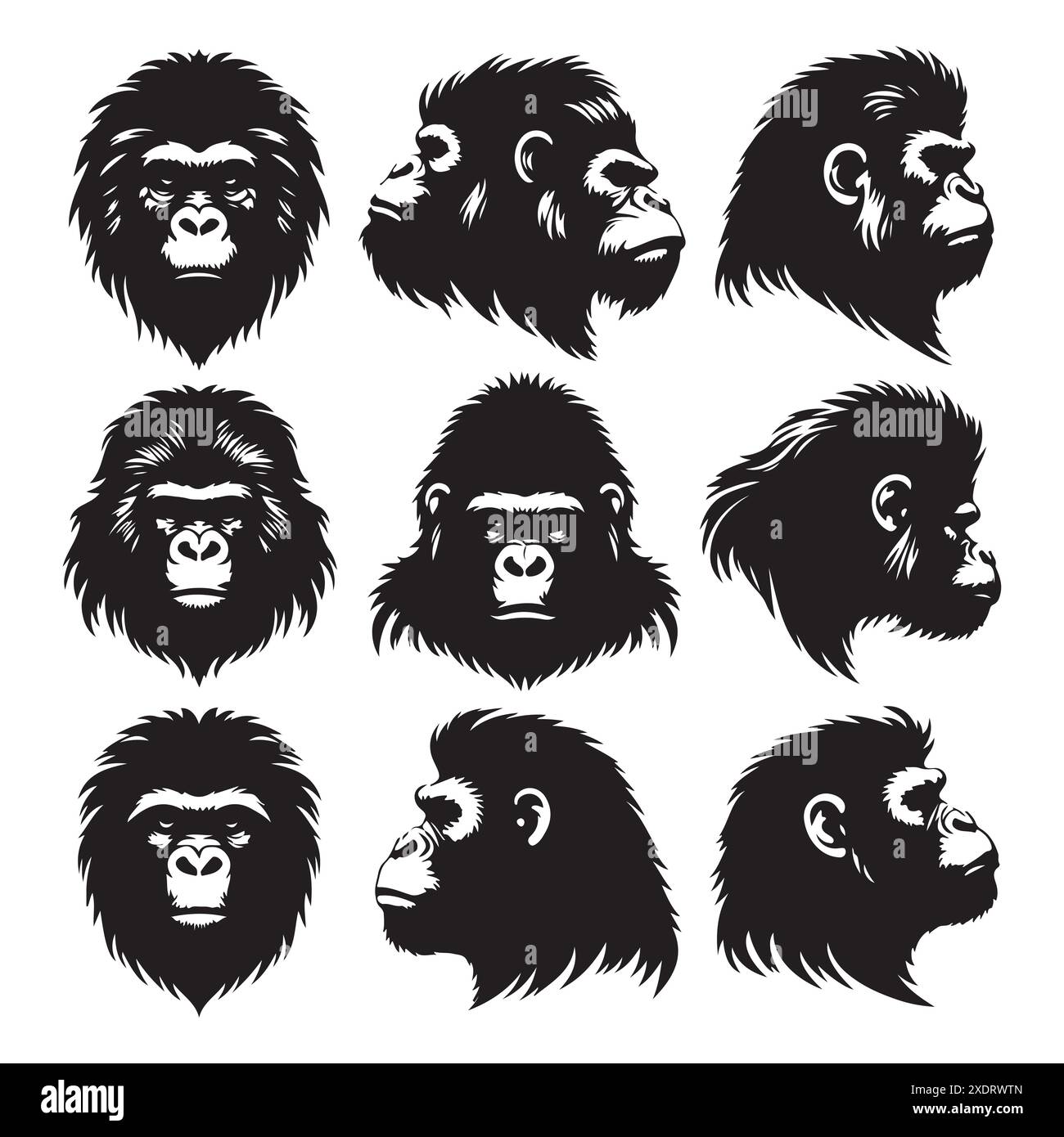 Silhouette set of ape animal head. Vector isolated illustration Stock ...
