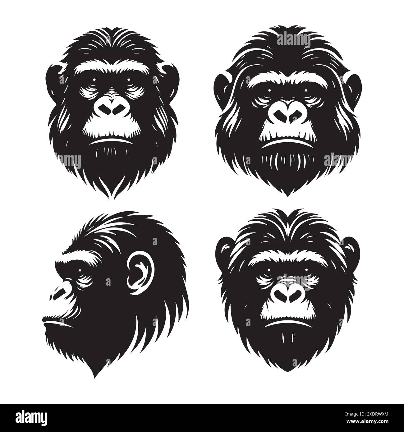 Silhouette set of ape animal head. Vector isolated illustration Stock ...