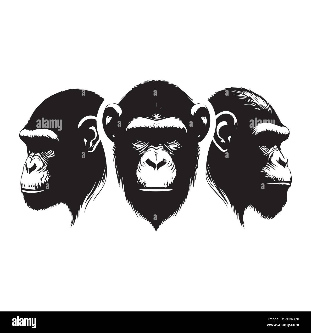 Silhouette set of ape animal head. Vector isolated illustration Stock ...