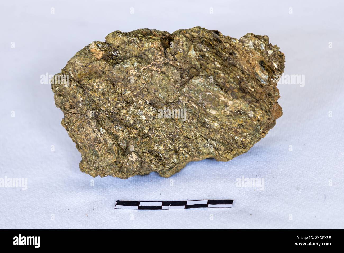 A sample of gold coloured Biotite Schist against a white background ...