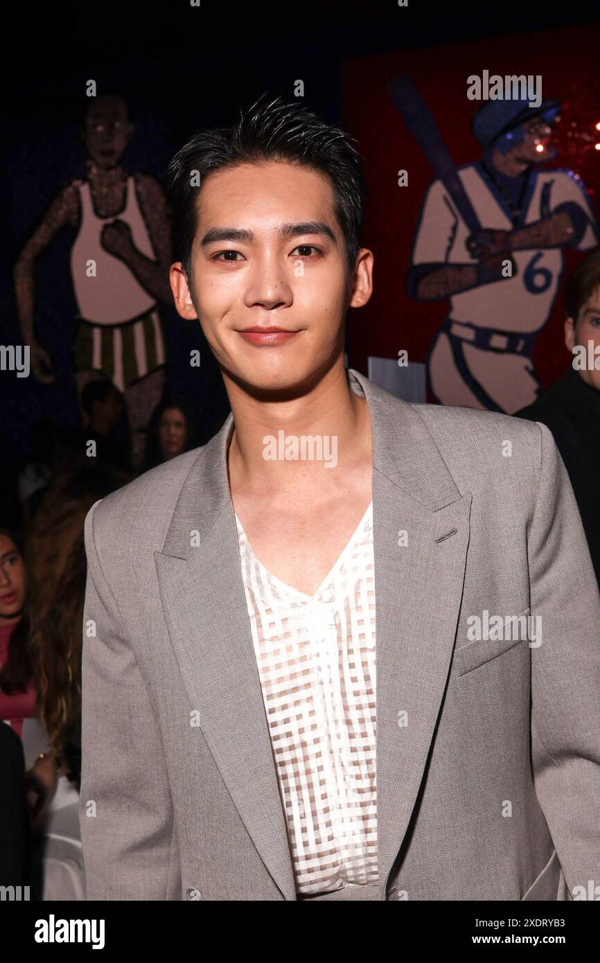 Yu Shi attends the Dior Haute Couture Fall-Winter 2024-2025 collection ...