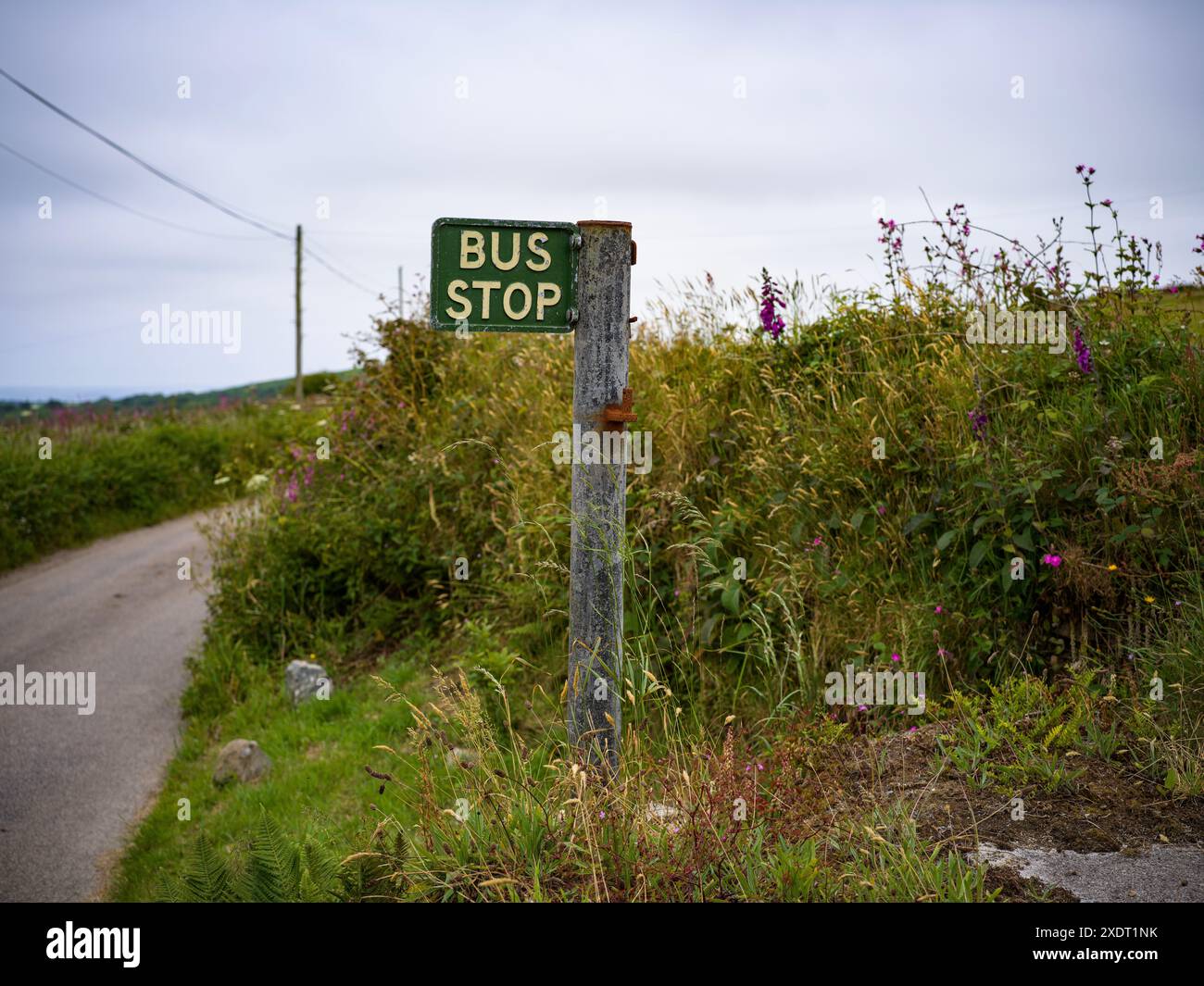 BUS STOP SIGN OLD GREEN TRADITIONAL SIGN ON METAL POST WITH MILK CHURN ...