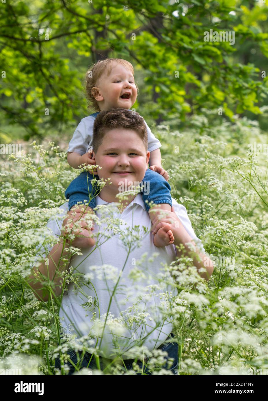 Portrait of an older and a little brother in the thick, green grass. A ...