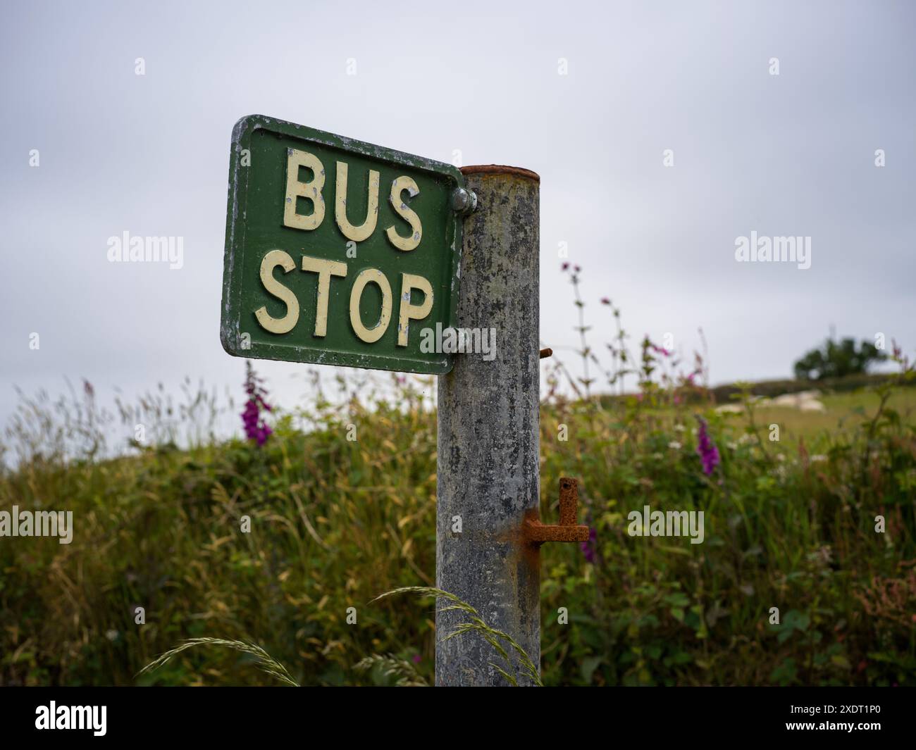 BUS STOP SIGN OLD GREEN TRADITIONAL SIGN ON METAL POST WITH MILK CHURN ...