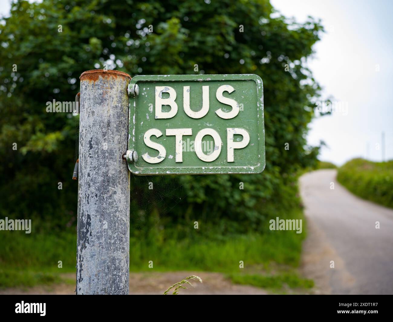 BUS STOP SIGN OLD GREEN TRADITIONAL SIGN ON METAL POST WITH MILK CHURN ...