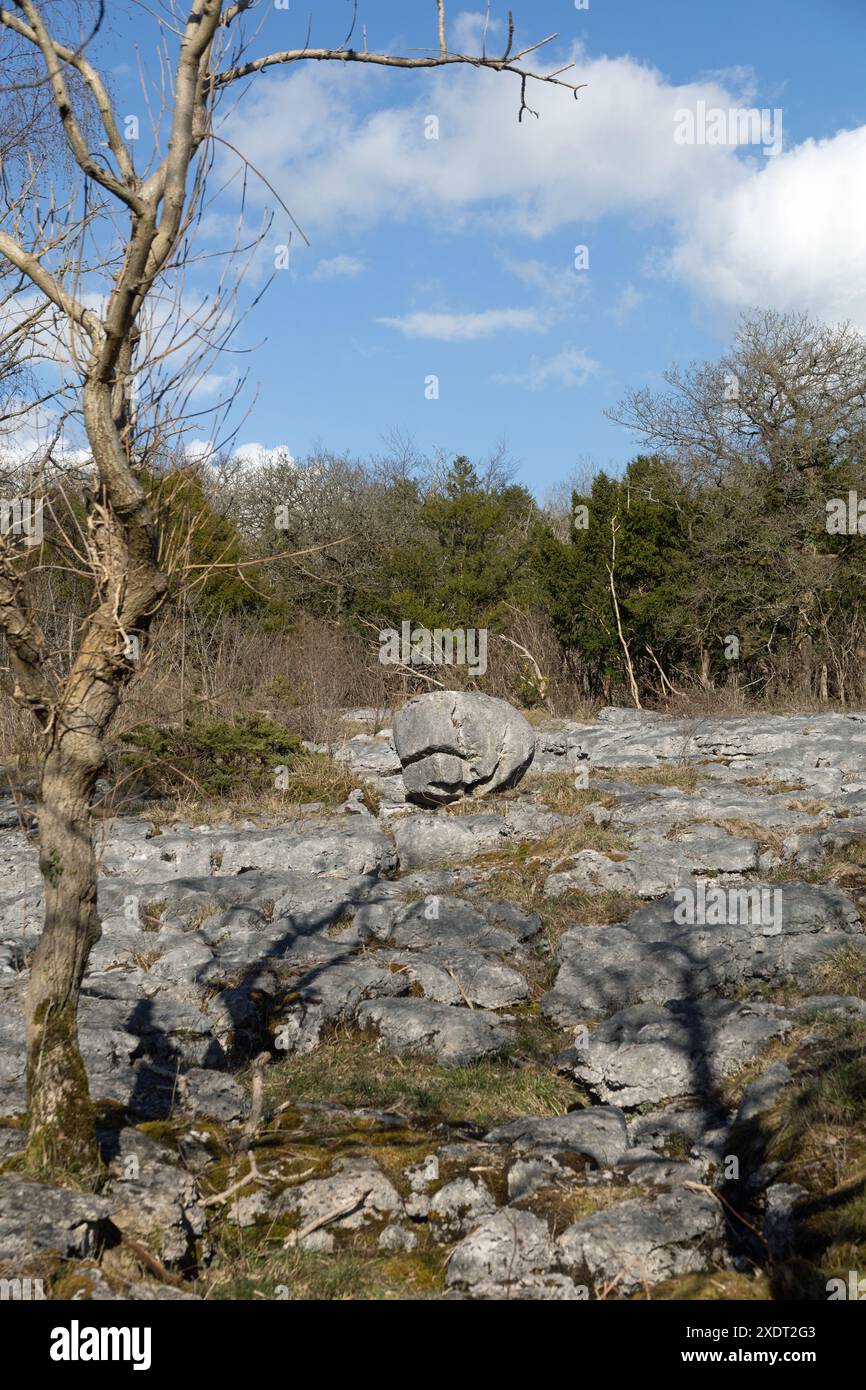 Limestone pavement and glacial erratic boulder Hutton Roof Crags near ...
