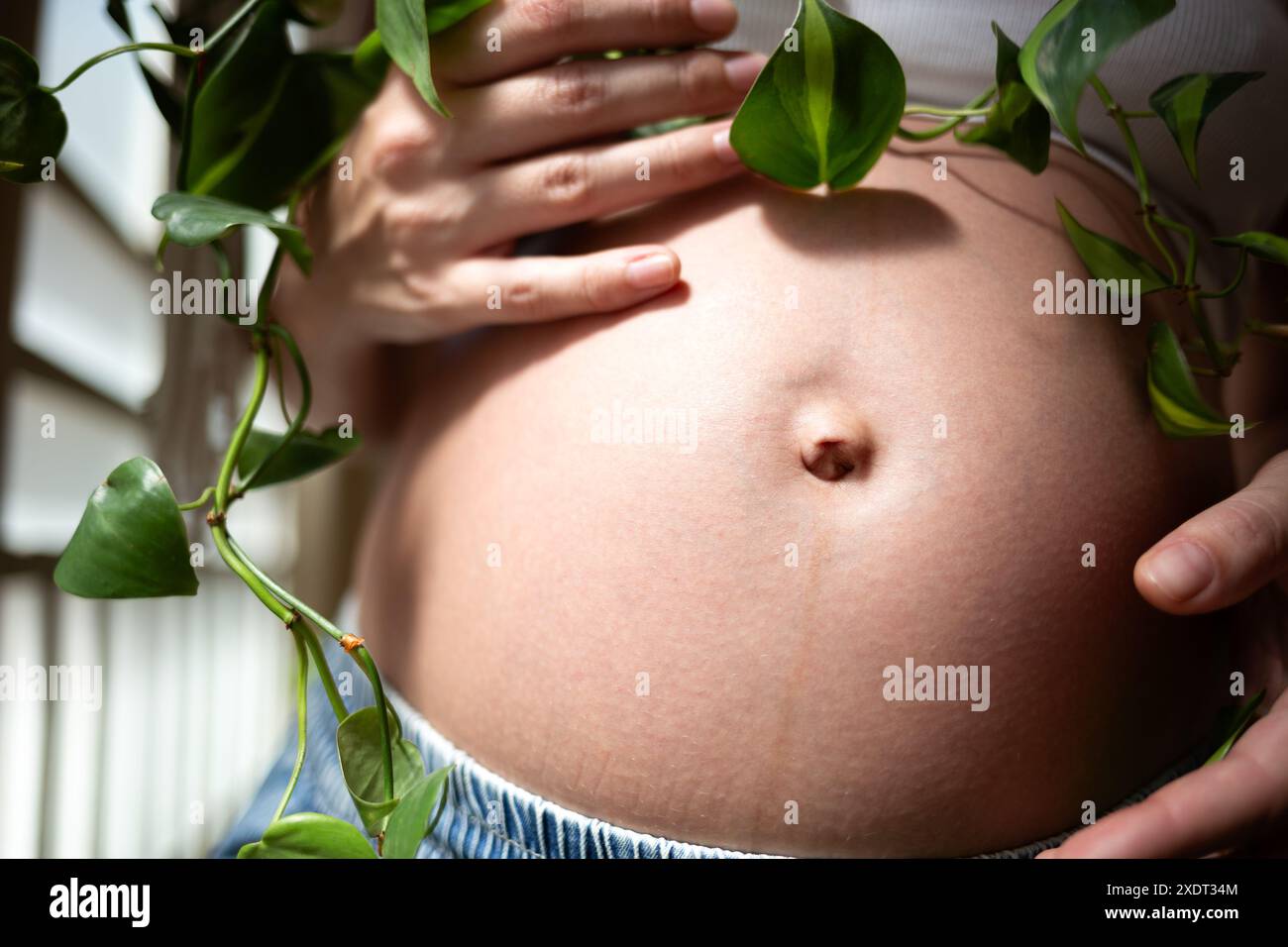 A beautiful pregnant belly surrounded by green leaves, symbolizing new ...