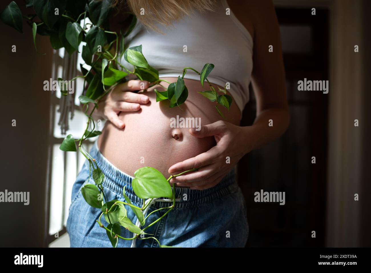A pregnant belly embraced by green leaves, symbolizing nature and new ...