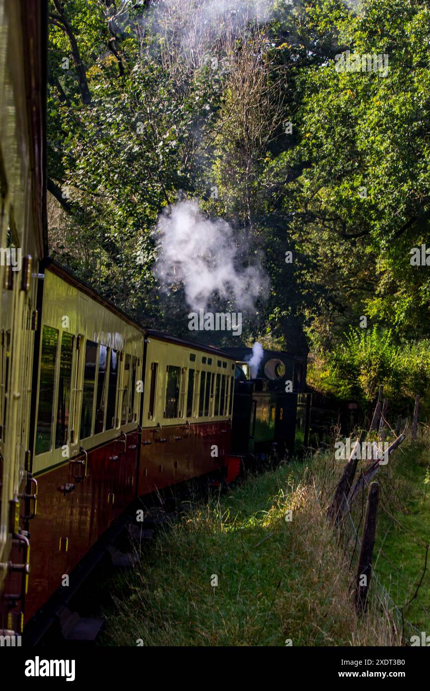 Vintage Stream train traveling through the ancient woodlands of the ...