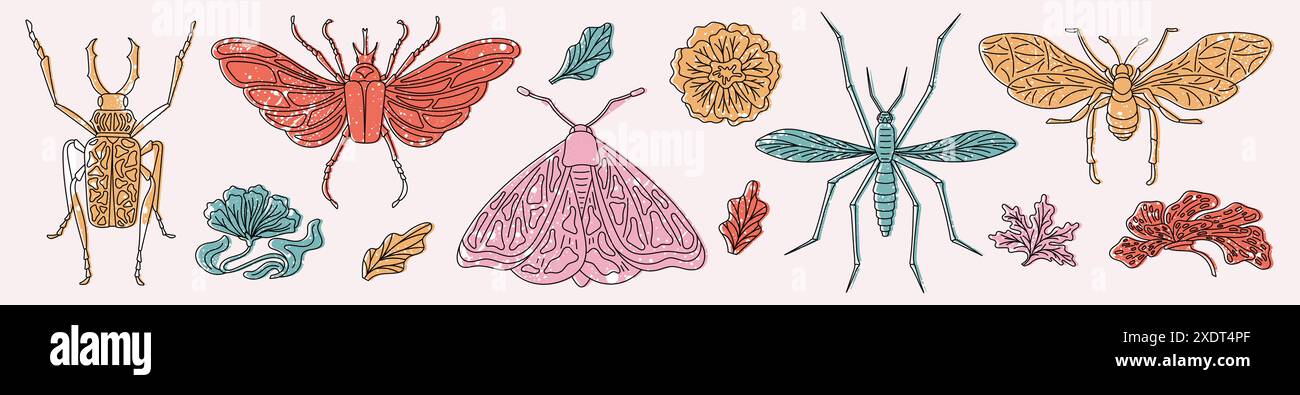 Drawing butterfly ladybug hi-res stock photography and images - Alamy