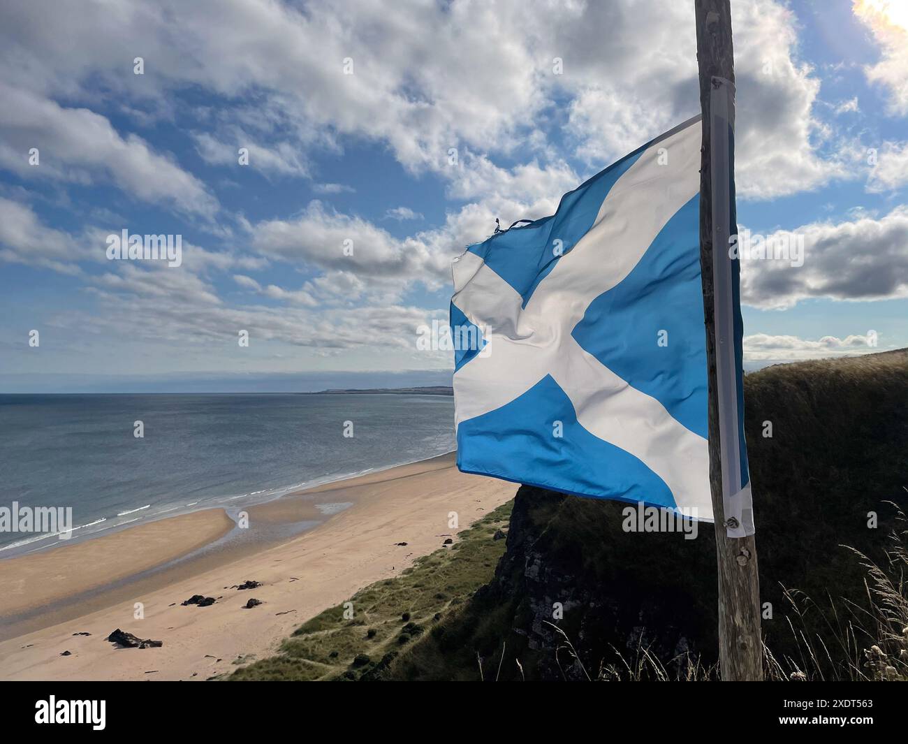 National blue and white Scotland flag flying and flapping in the wind ...