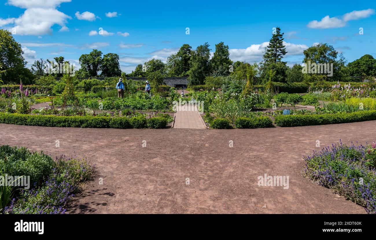 Central round section of the formal Amisfield walled garden in Summer ...