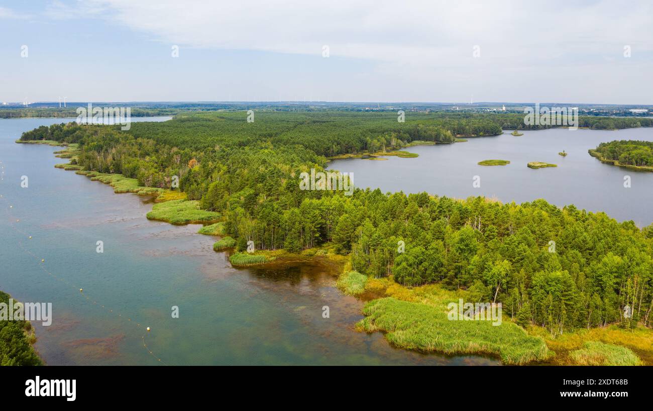 Aerial photograph of Lake Senftenberg. Dense green forests, many small ...