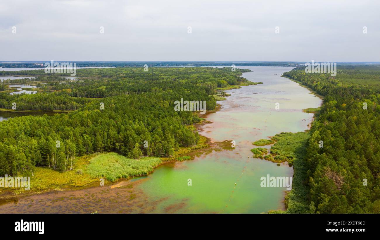 Beauty of nature in heights. aerial drone of Senftenberg lake, green ...