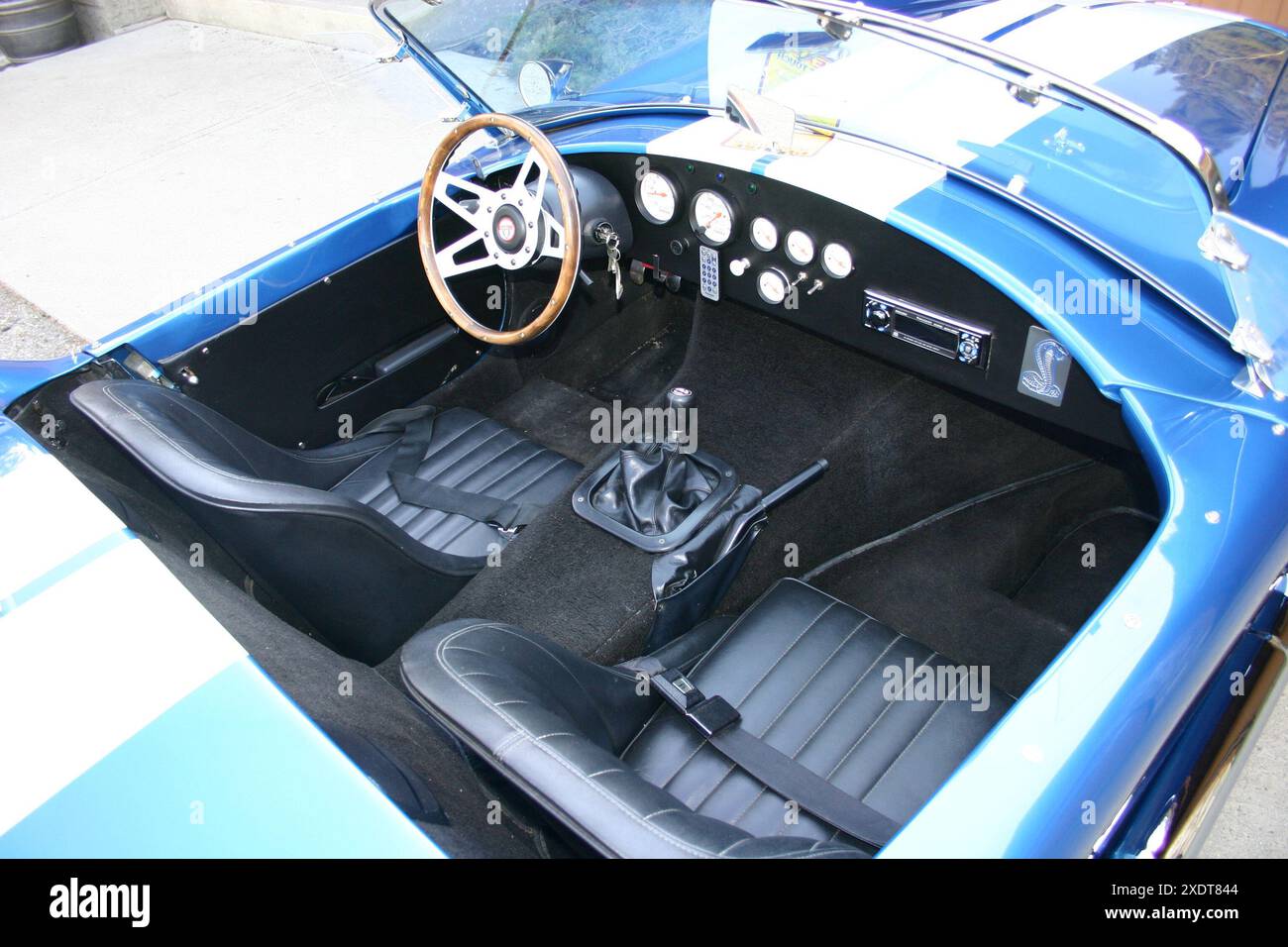Blue Shelby Cobra Stock Photo - Alamy