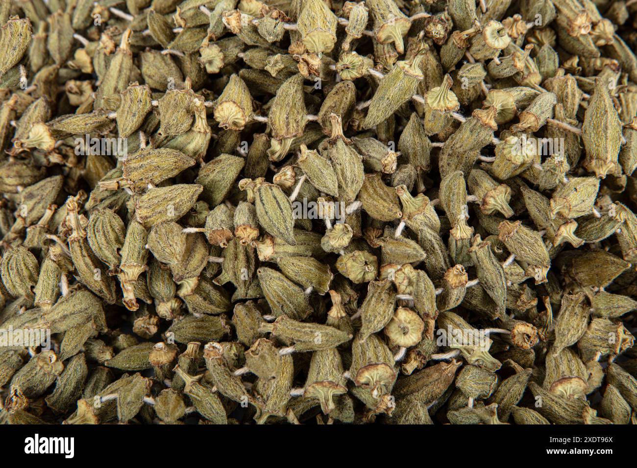 Sun-dried okra (Abelmoschus esculentus) known also as lady's fingers is ...