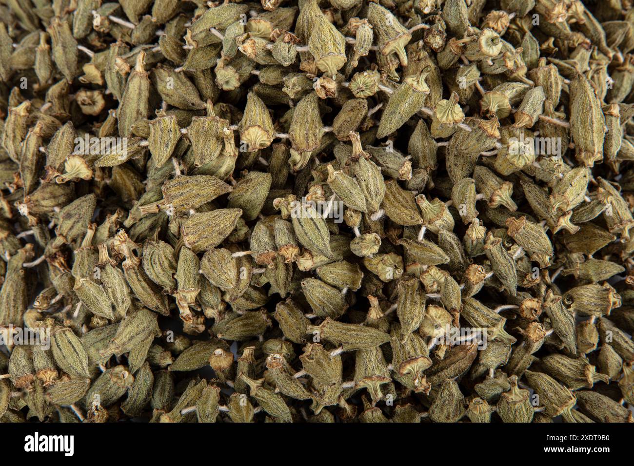 Sun-dried okra (Abelmoschus esculentus) known also as lady's fingers is ...