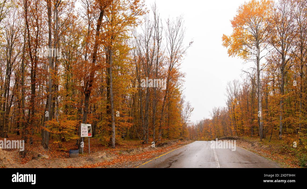 Asphalt road to the mountains in the autumn forest. Khyzy region ...
