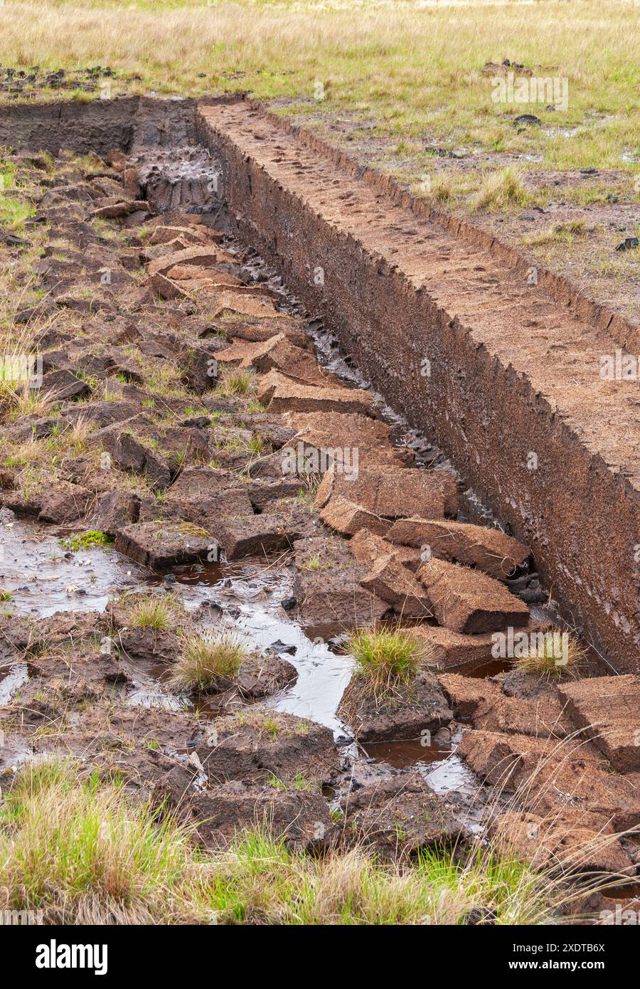Ireland County Mayo Murrisk Peninsula peat bog cuttings Stock Photo - Alamy