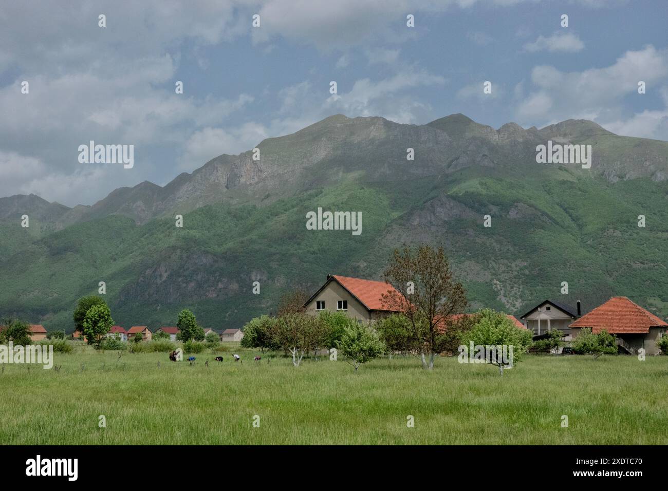 Pastoral scenes hi-res stock photography and images - Alamy