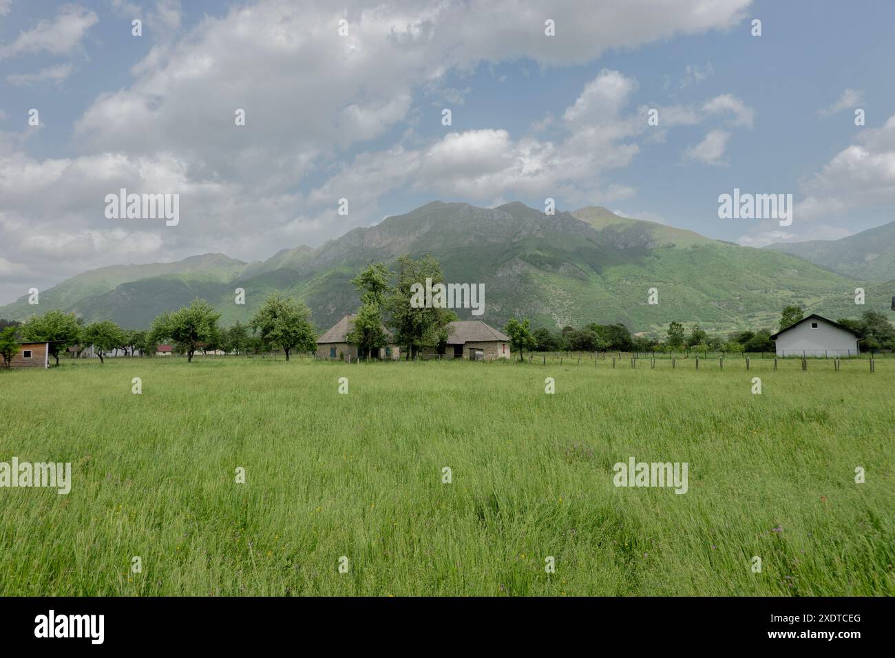 Pastoral scenes in rural Gusinje, Montenegro Stock Photo - Alamy