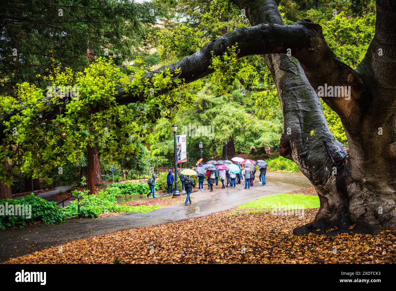 Berkeley, California USA - March 24, 2017: Group of prospective ...