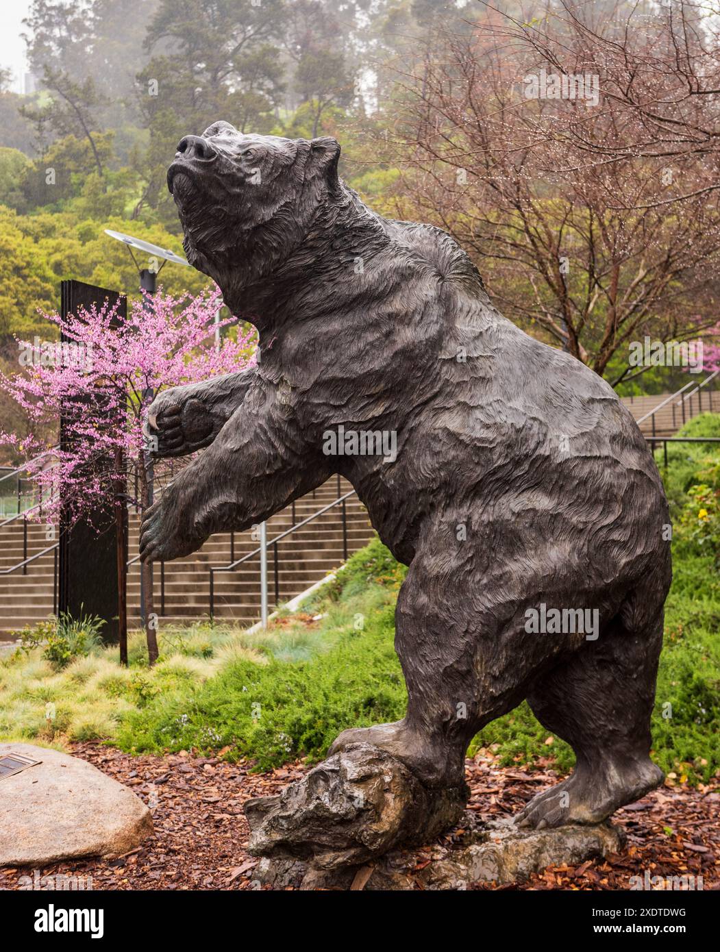 Uc berkeley memorial stadium hi-res stock photography and images - Alamy
