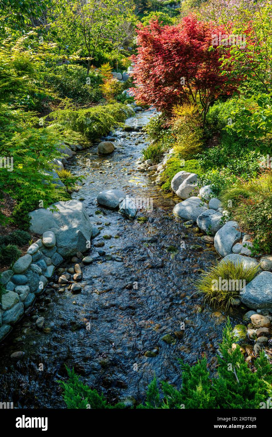 Decorative stream; Japanese Friendship Garden; Balboa Park; San Diego ...
